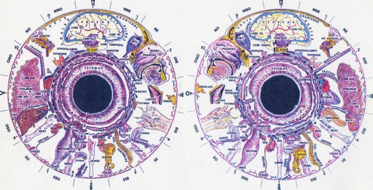 Iridologie – LA NATURE VOTRE SANTÉ